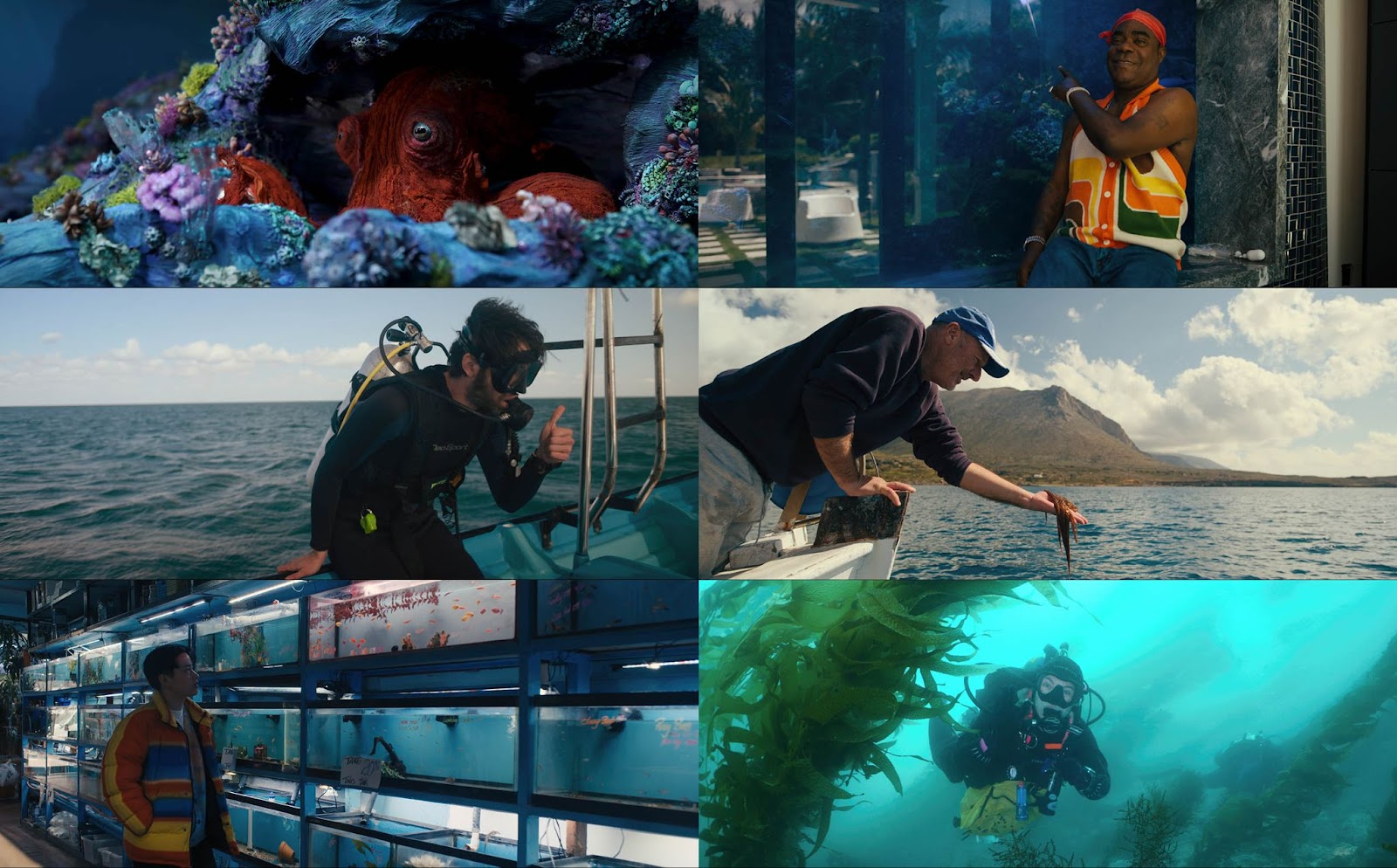 Octopus! | Prime Video